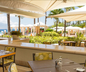 Maui Guide - Your Reviews & Our Favorites