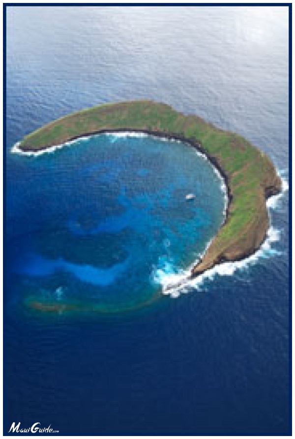 Molokini Crater Map | Photos, Recommended Boats, Local Tips