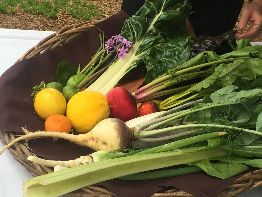 O'o Farm Review - Maui Guide