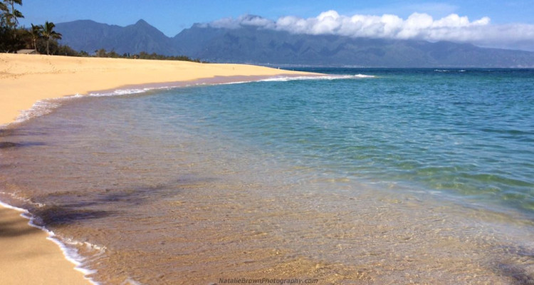 Paia Map | Photos, Video, & Local Tips for Paia Maui, Hawaii