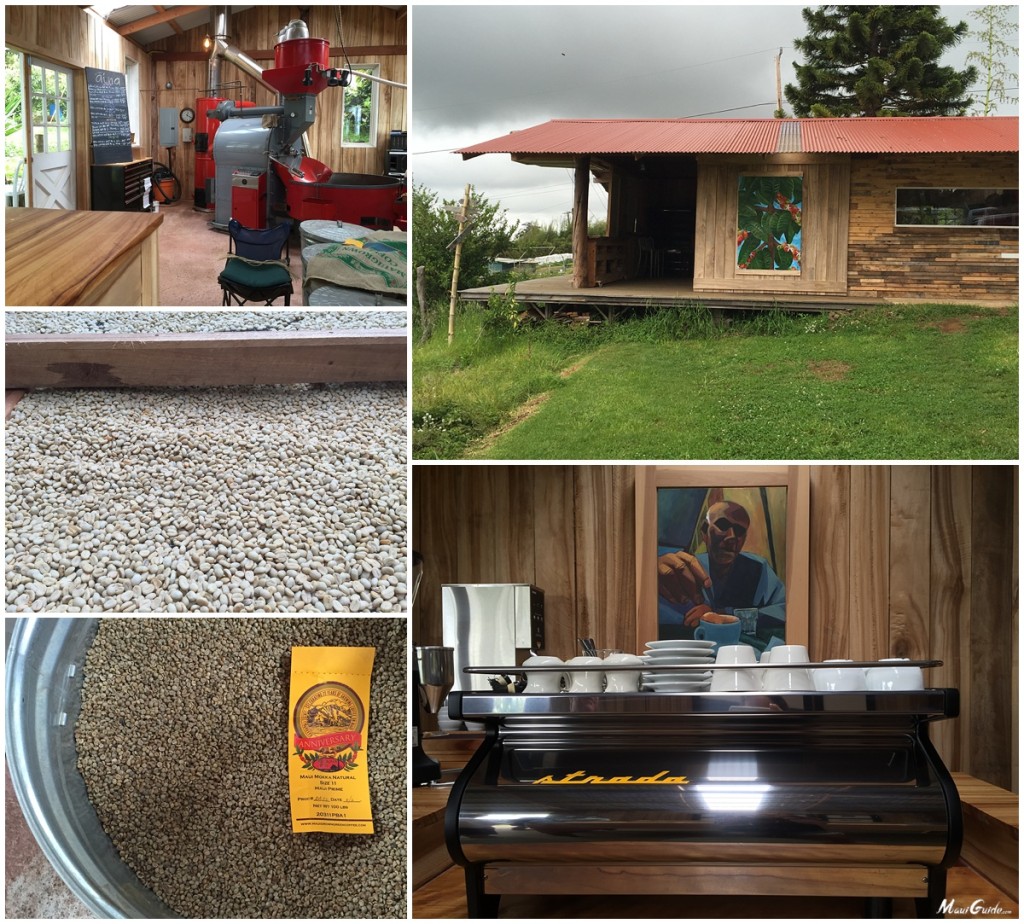 O'o Farm Review - Maui Guide