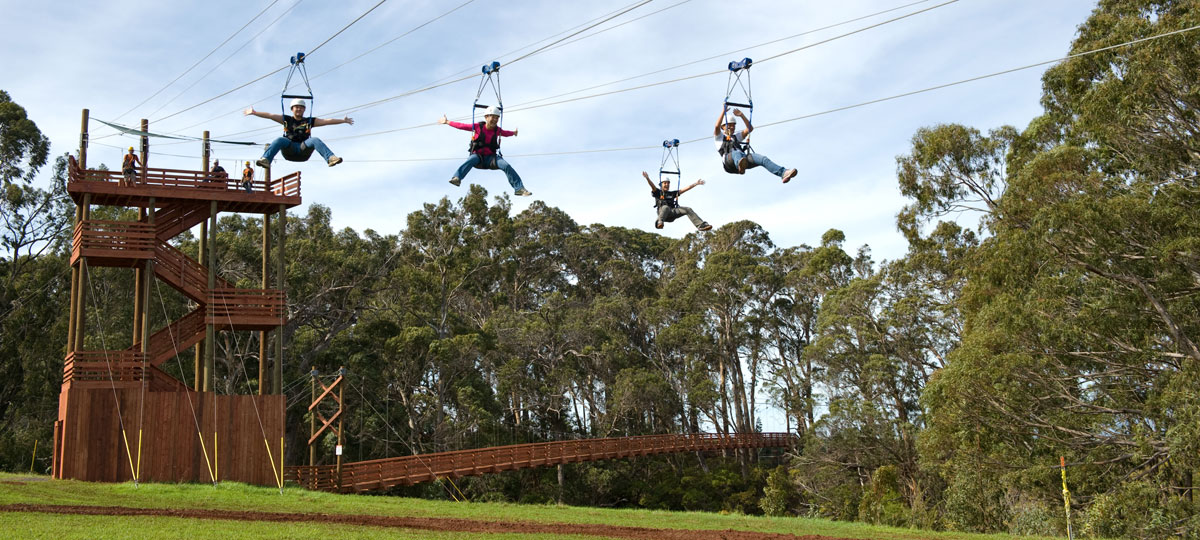 Maui Zipline Tours | Photos & Local Tips for Ziplining in Maui