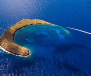 Maui Guide - Your Reviews & Our Favorites