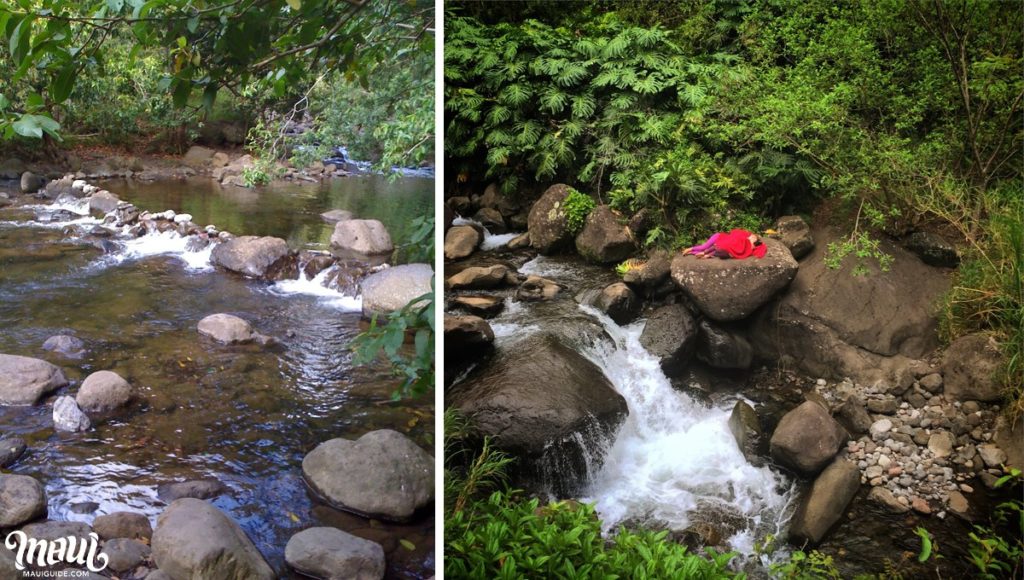 Iao Valley Map | Photos & Local Tips of Iao Valley Maui, Hawaii