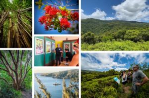 Honolua Ridgeline Hike: A Conservation Experience | Maui Hiking