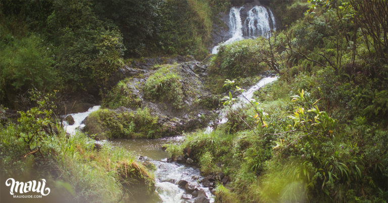 Hanawi Falls Maui | Photos & Local Tips for the Road to Hana