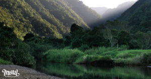 Honomanu Bay | Photos & Local Tips for the Road to Hana