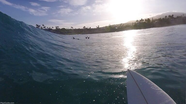 Maui Info From A-Z: Your 2025 Maui Index - Maui Guide