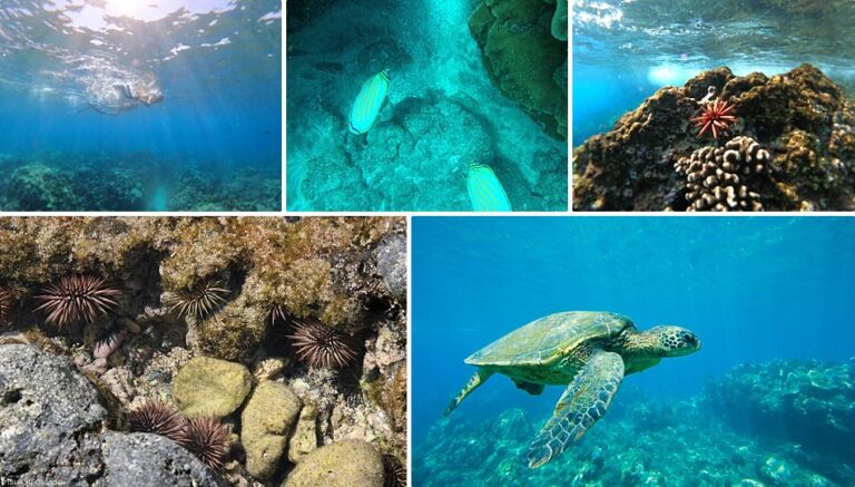 White Rock Beach (Palauea) Review - Maui Guide