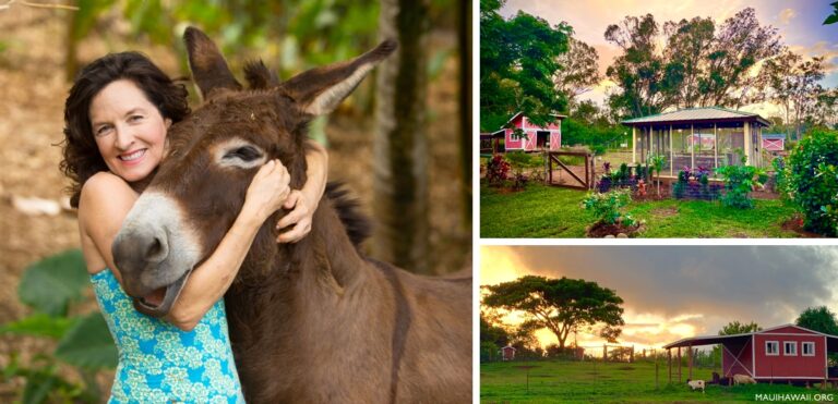 Leilani Farm Sanctuary Tour - Maui Guide Review